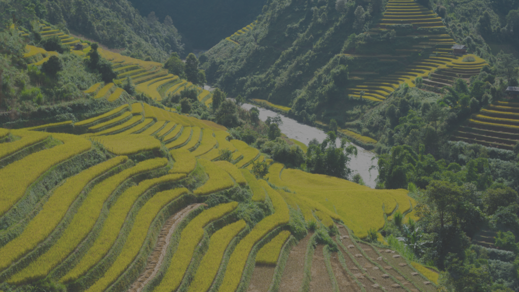 May 2026 China Dairy Import Volume Snapshot - HighGround Dairy